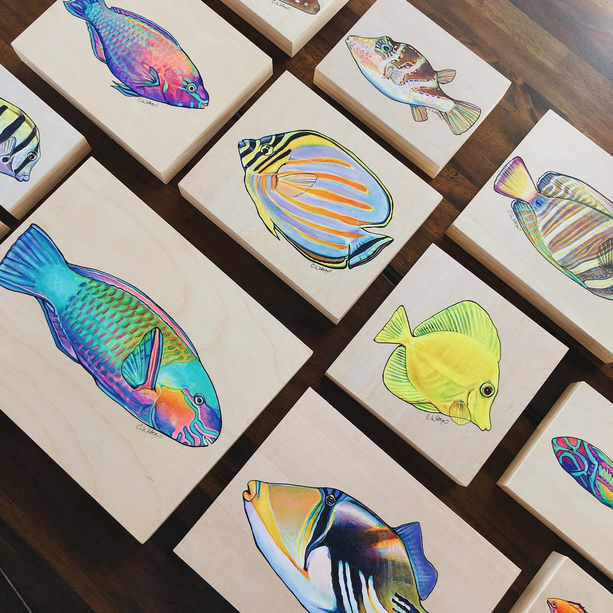 Painting My Hawaiian Fish Collection – Colleen Wilcox Art