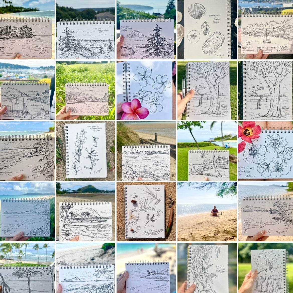 Hawaii Artist Colleen Wilcox's Sketchbook – Colleen Wilcox Art